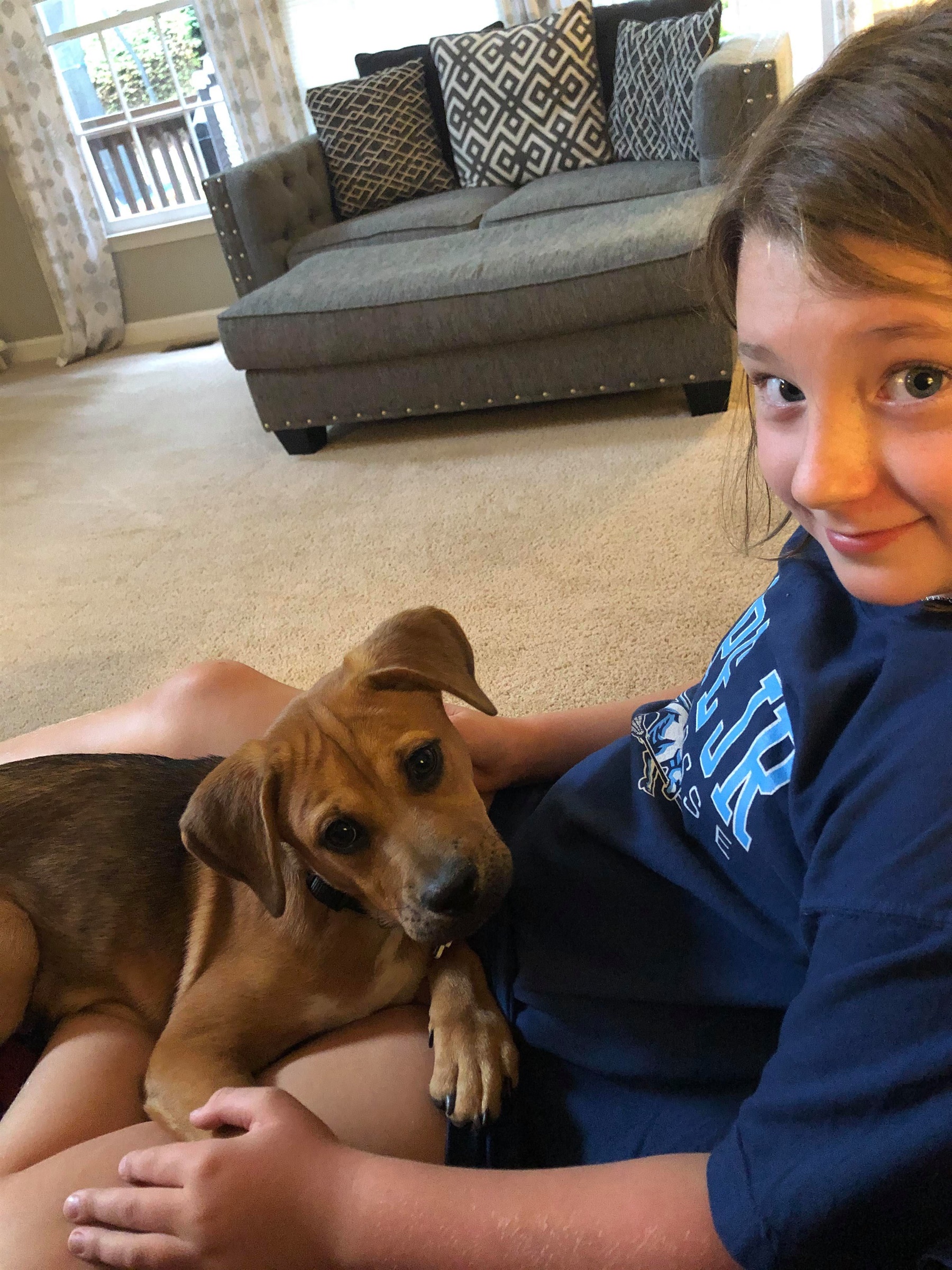 Adoptable Dogs COLTON H. | youluckydogrescue.org